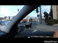 Motorized GIFs - Get the best gif on GIFER