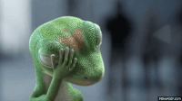 Lizards GIFs - Get the best gif on GIFER