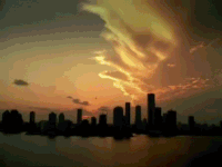 Csi GIFs - Get the best gif on GIFER