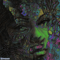 Polymorph GIFs - Get the best gif on GIFER