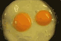 Frying GIFs - Get the best gif on GIFER