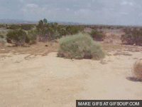 Tab GIFs - Get the best gif on GIFER
