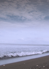 Egg roll GIFs - Get the best gif on GIFER