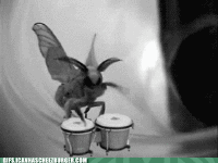 Mite GIFs - Get the best gif on GIFER
