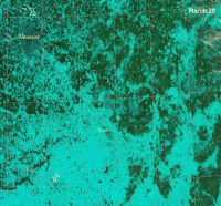 Verde GIF - Conseguir el mejor gif en GIFER