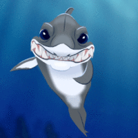 Gif De Tiburones Whale Sharks – Did You Know? – ScubaCaribe