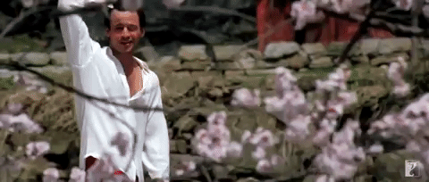 Premolar GIF - Conseguir o melhor gif em GIFER