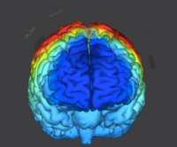Datos GIF - Conseguir el mejor gif en GIFER