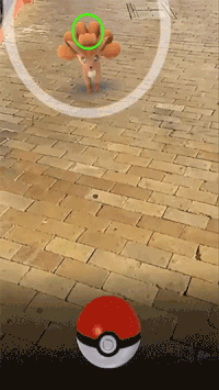 Pokemon go GIFs - Get the best gif on GIFER