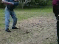 Ability GIFs - Get the best gif on GIFER