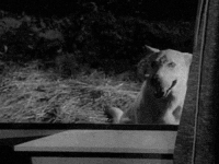 Agar agar GIFs - Get the best gif on GIFER