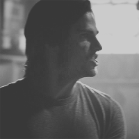 Showcase GIFs - Get the best gif on GIFER