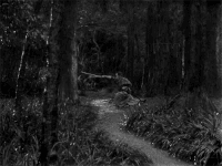 Kurosawa GIFs - Get the best gif on GIFER