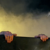 Gentleness GIFs - Get the best gif on GIFER