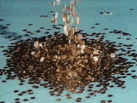 Cash GIFs - Get the best gif on GIFER