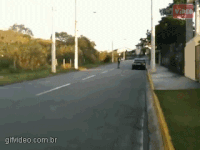 Compilation GIFs - Get the best gif on GIFER