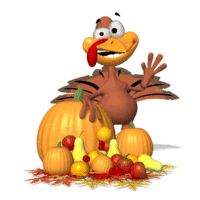 Turkey GIFs - Get the best gif on GIFER