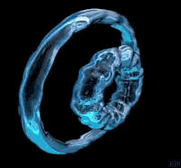 Vortex GIFs - Get the best gif on GIFER