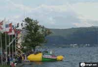 Weeeeeeeeeee GIFs - Get the best gif on GIFER