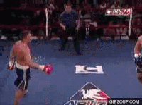 Knockouts GIFs - Get the best gif on GIFER