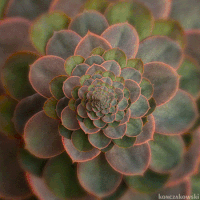 Recursion GIFs - Get the best gif on GIFER