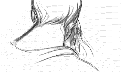 Hand drawn animation GIF - Conseguir el mejor gif en GIFER