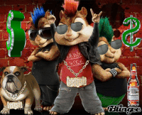 Chipmunk GIFs - Get the best gif on GIFER