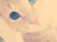 Fresno GIFs - Get the best gif on GIFER