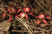 Mold GIFs - Get the best gif on GIFER