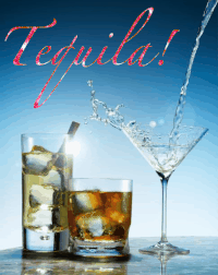 Tequila GIFs - Get the best gif on GIFER