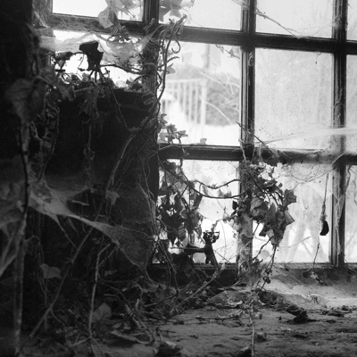 Desolate GIFs - Get the best gif on GIFER