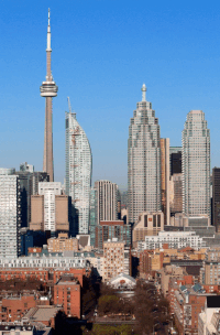 Toronto GIFs - Get the best gif on GIFER