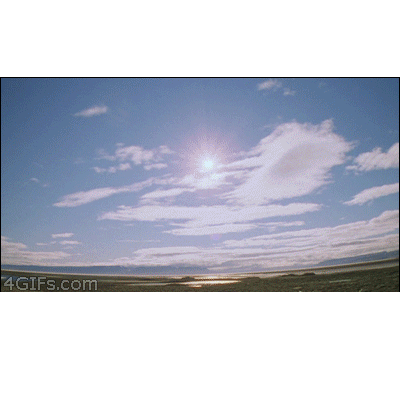 Funnycats GIF - Conseguir o melhor gif em GIFER