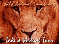 Sanctuary GIFs - Get the best gif on GIFER