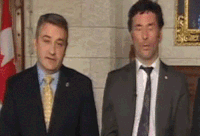 Participants GIFs - Get the best gif on GIFER