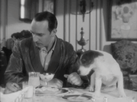 Cromwell GIFs - Get the best gif on GIFER