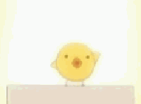 Pollito GIFs - Get the best gif on GIFER