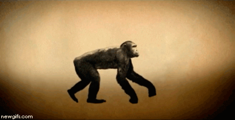Evolution GIFs - Get the best gif on GIFER