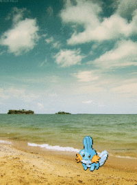 Mudkip GIFs - Get the best gif on GIFER
