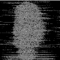 Compression GIFs - Get the best gif on GIFER