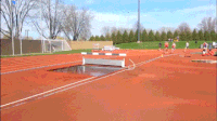 Hurdles GIFs - Get the best gif on GIFER
