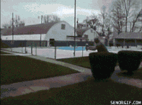 Epico GIFs - Get the best gif on GIFER