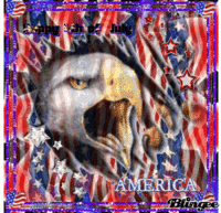 Patriotic GIFs - Get the best gif on GIFER