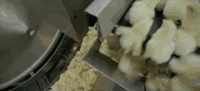 Conveyor GIFs - Get the best gif on GIFER