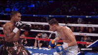 Boxing GIFs - Get the best gif on GIFER