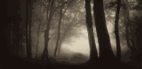 Haunted GIFs - Get the best gif on GIFER