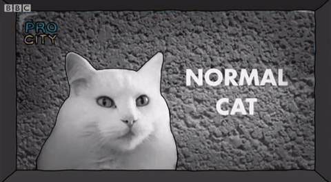 Normal face GIFs - Obtenez le meilleur gif sur GIFER