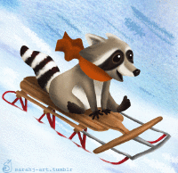 Raccoon GIFs - Get the best gif on GIFER