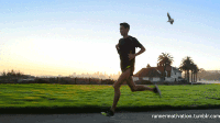 Runner GIFs - Get the best gif on GIFER