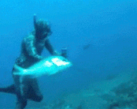 Yoink GIFs - Get the best gif on GIFER